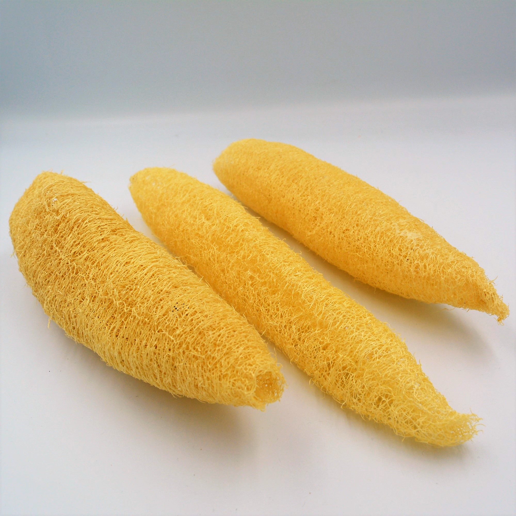 Natural Loofah Sponge - Medium - Conscious Consumption